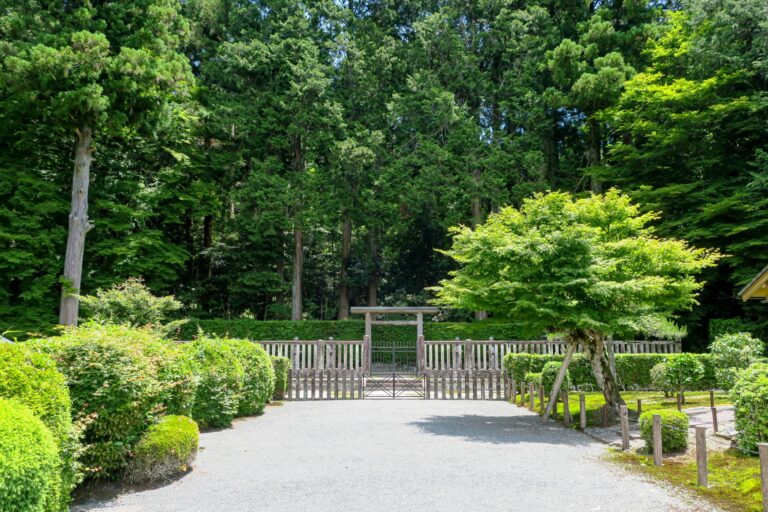 The Kamakura Period Explained: Rise of the Samurai and Japan’s First ...