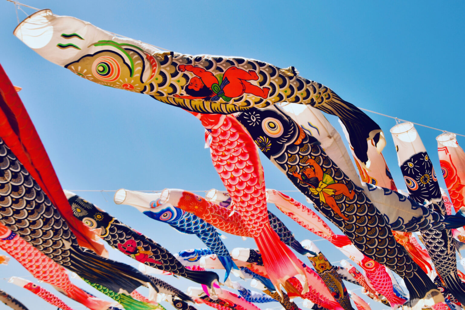 Symbolism of Koinobori: The Meaning Behind Japan’s Carp Streamers ...