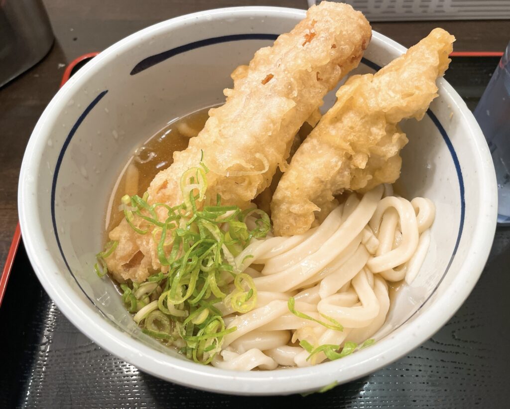 What Is Udon? A Simple Guide to Japan’s Chewy Noodles - Japambience